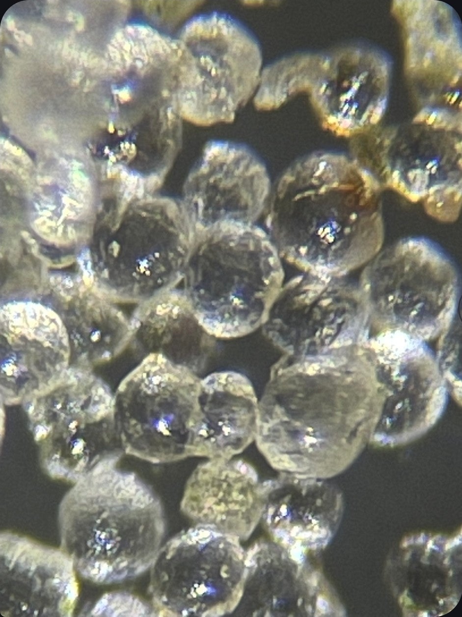 Triple Filtered Static Sift Extract NC | Clear Nation Terpenes